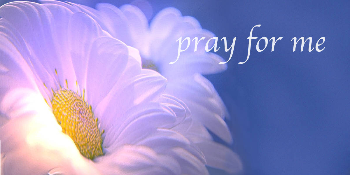 Prayer Request: URGENT PRAYER REQUEST Asking... | AllDevotion