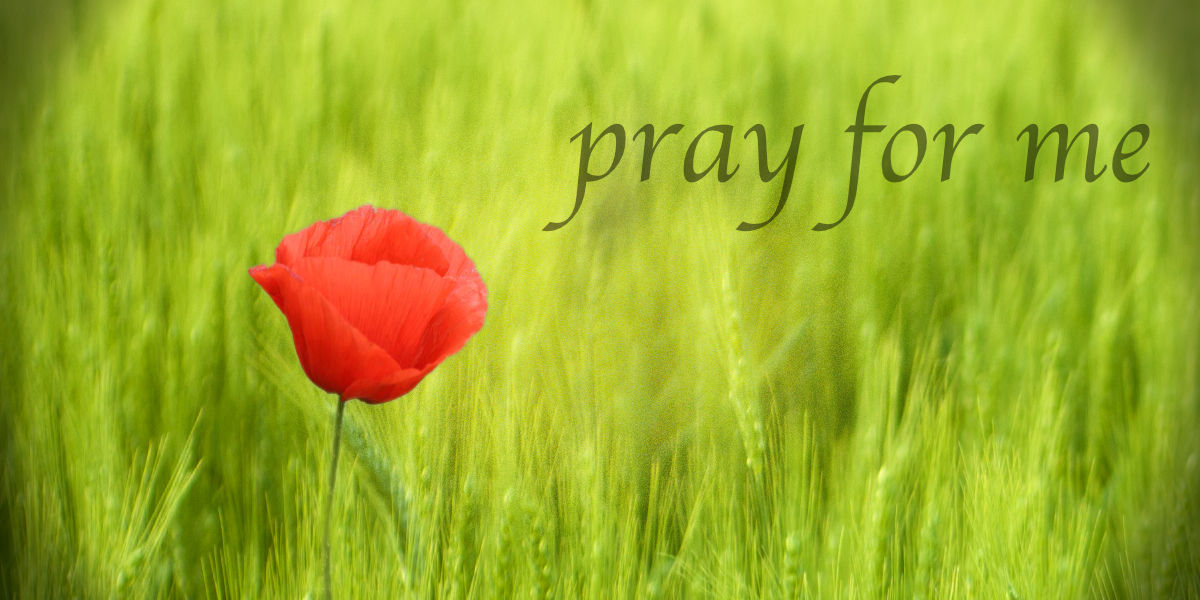 Prayer Request: Lord Jesus, You see all things... | AllDevotion